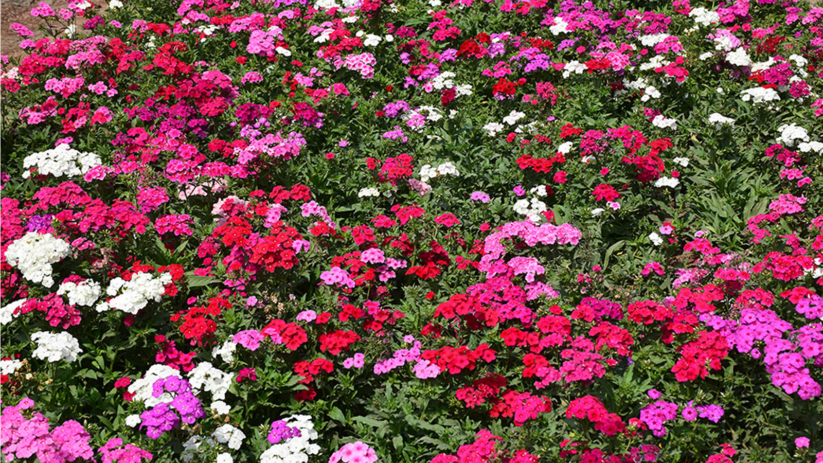 Bhabha Atomic Research Centre ( BARC ), Department of Atomic Energy ...