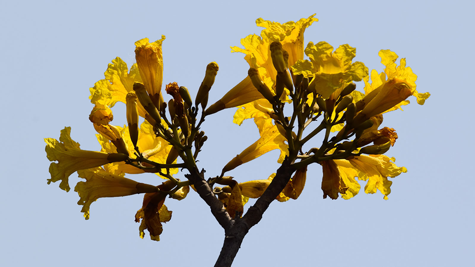 Bhabha Atomic Research Centre ( BARC ), Department of Atomic Energy ...