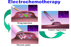 BIPHASIC MEDICAL ELECTROPORATOR